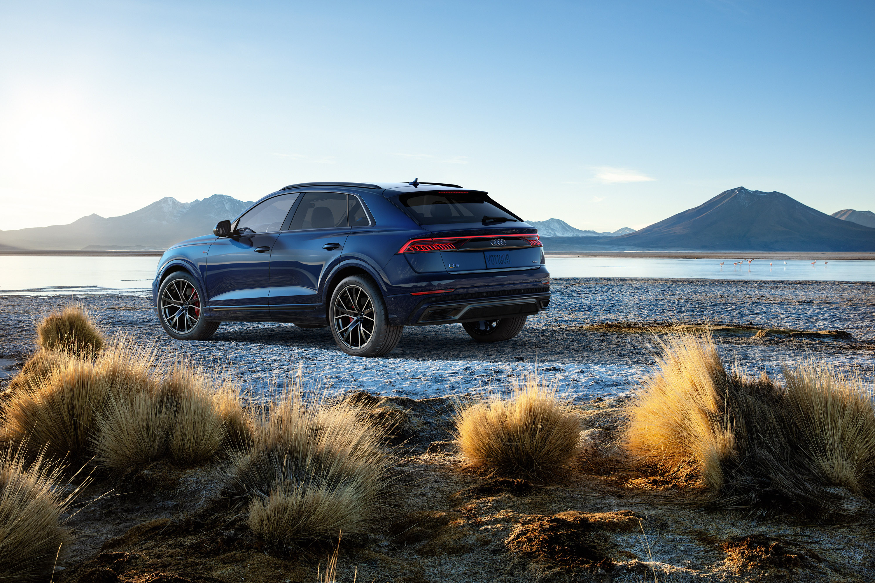 Audi reveals new Q8 SUV